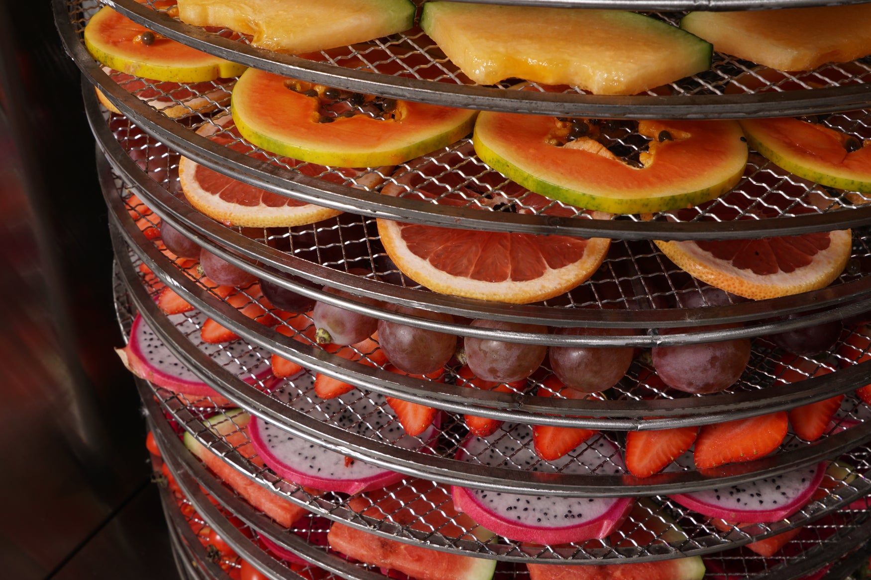 Food Dehydrators – Septree
